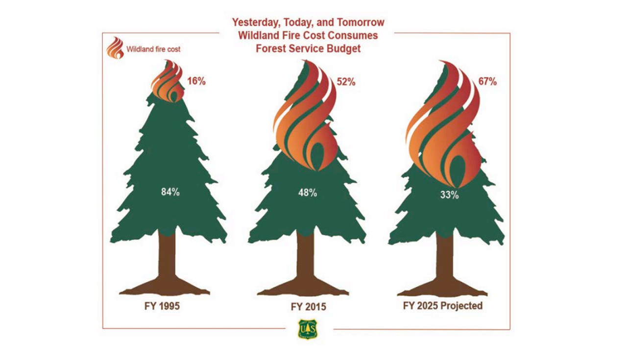 Wildland Fire Policy