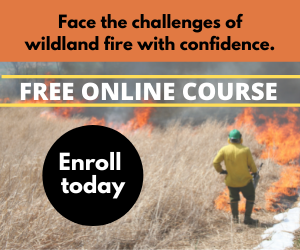 What is the Ready, Set, Go! Program?