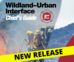 What is the Ready, Set, Go! Program?